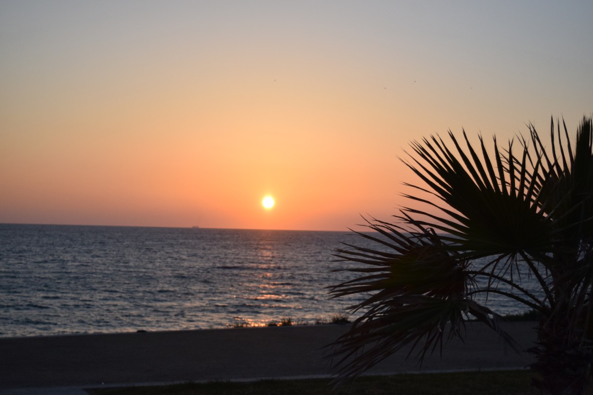 Logicom Cyprus Marathon 2017 | The Global Adventurer